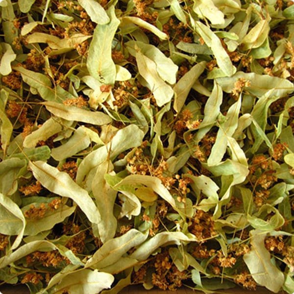 Venta de Tilo al por mayor en Chile – Australis Herbolaria