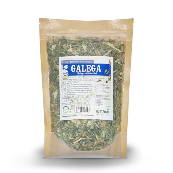 Venta Galega por kilogramo al por mayor en Chile – Australis Herbolaria