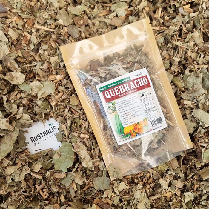 Quebracho (Sen Chileno) – Australis Herbolaria